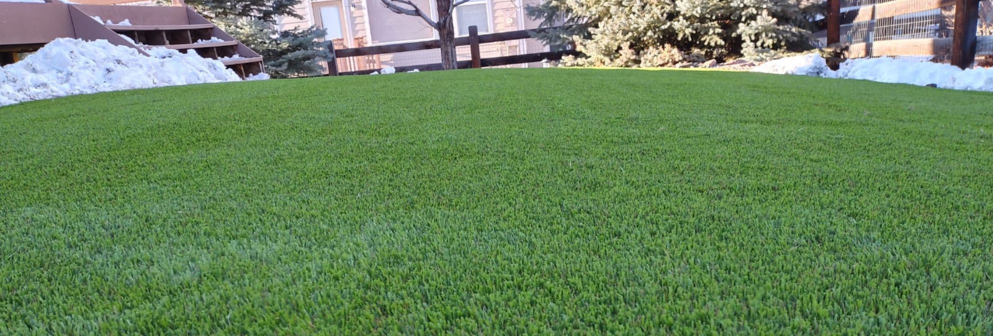 Gallery | Elite Turf Systems